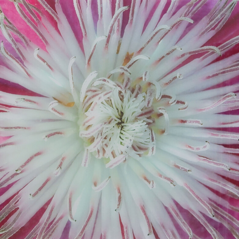 Frauenärztin Bruckmühl - Dr. Simone Demmel - Credo